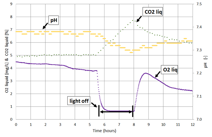 藻类光生物反应器中pH、CO2和O2的同步测量 - 开云体育电竞投注
