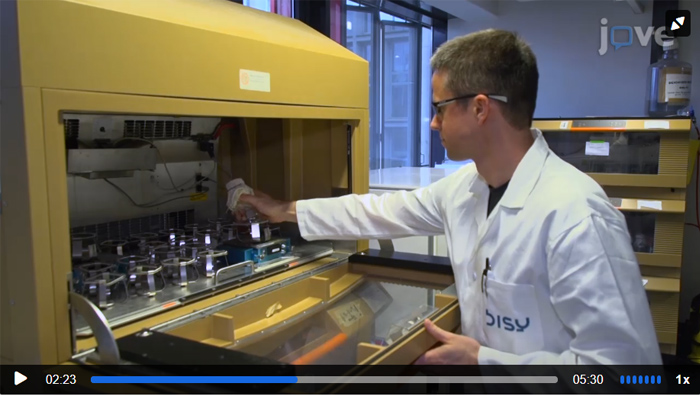 产品:SFR不一样的 - 开云体育电竞投注