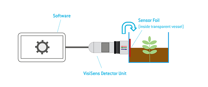 成像mit planaren Optoden zur Untersuchung räumlich-zeitlicher Gradienten - 开云体育电竞投注